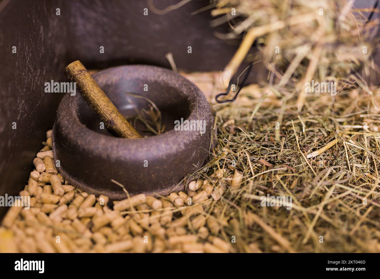 Hay and dried grass for rabbit in pet cage and dry food for rodents ...