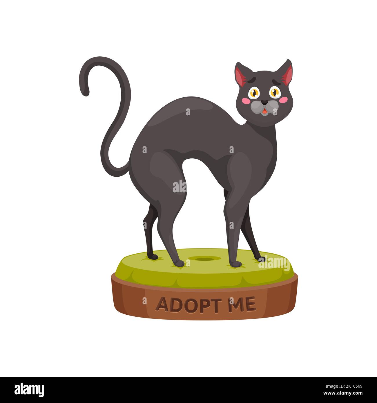 Adopt a cat, sad cat stand on bedding with banner adopt me. Isolated ...