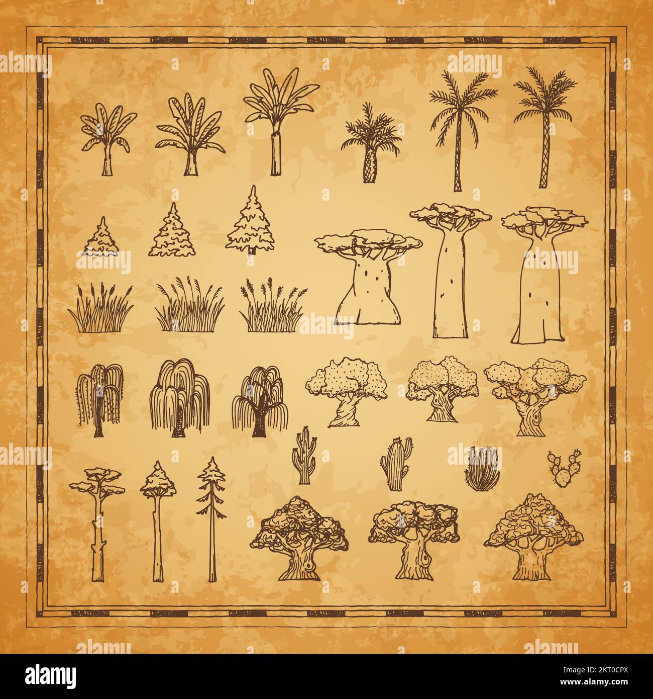 Vintage map plants and trees, palm, baobab and cactus, willow, oak ...