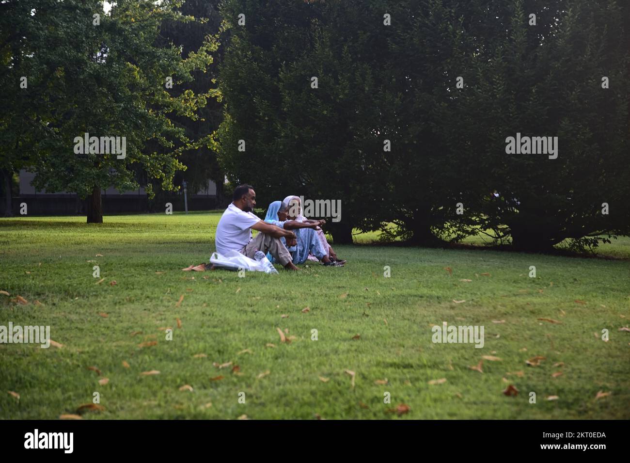 People sitting on the grass in an open space with trees Stock Photo - Alamy