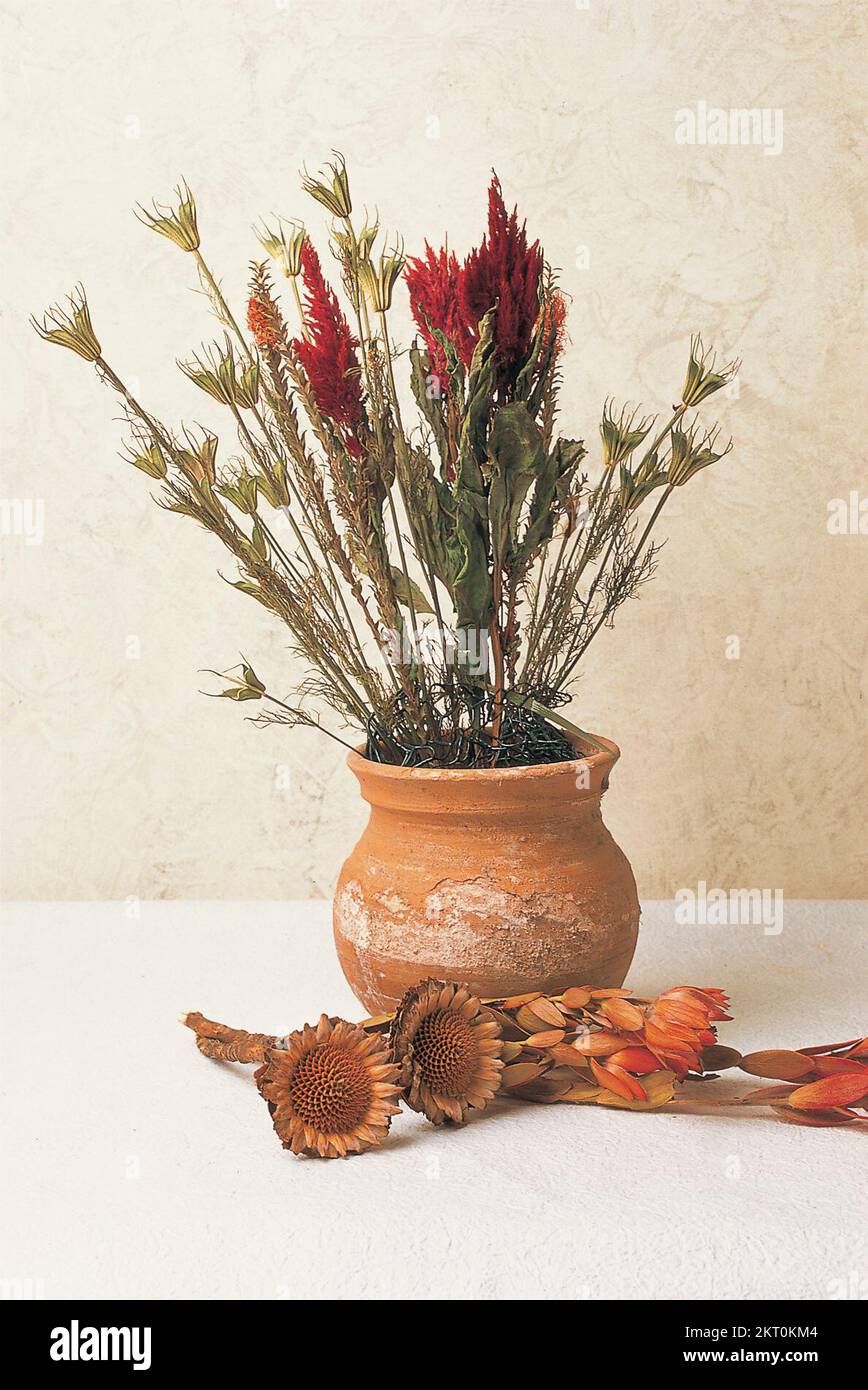 Fan shape hi-res stock photography and images - Alamy