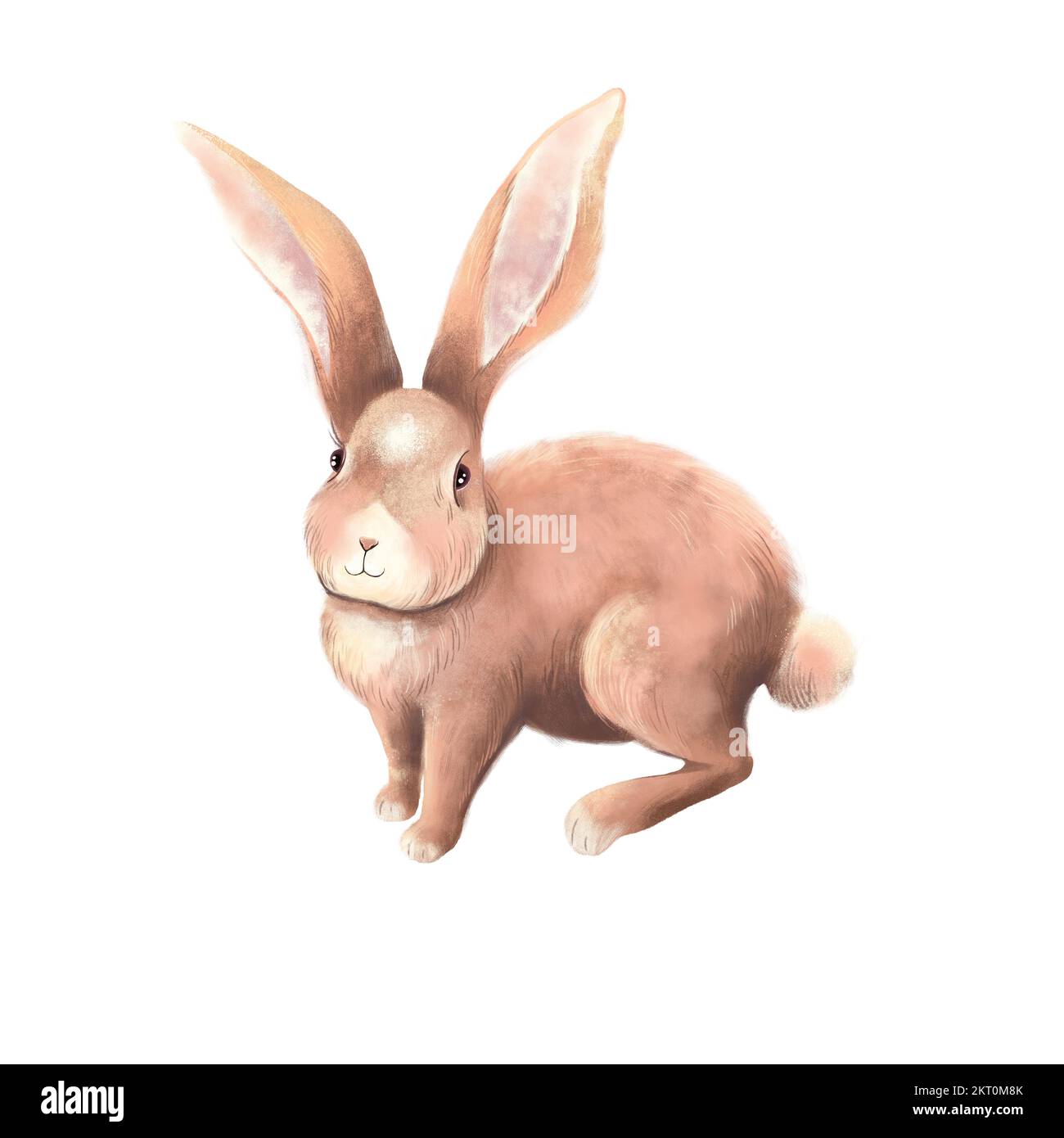 Little kids pointing Cut Out Stock Images & Pictures - Alamy