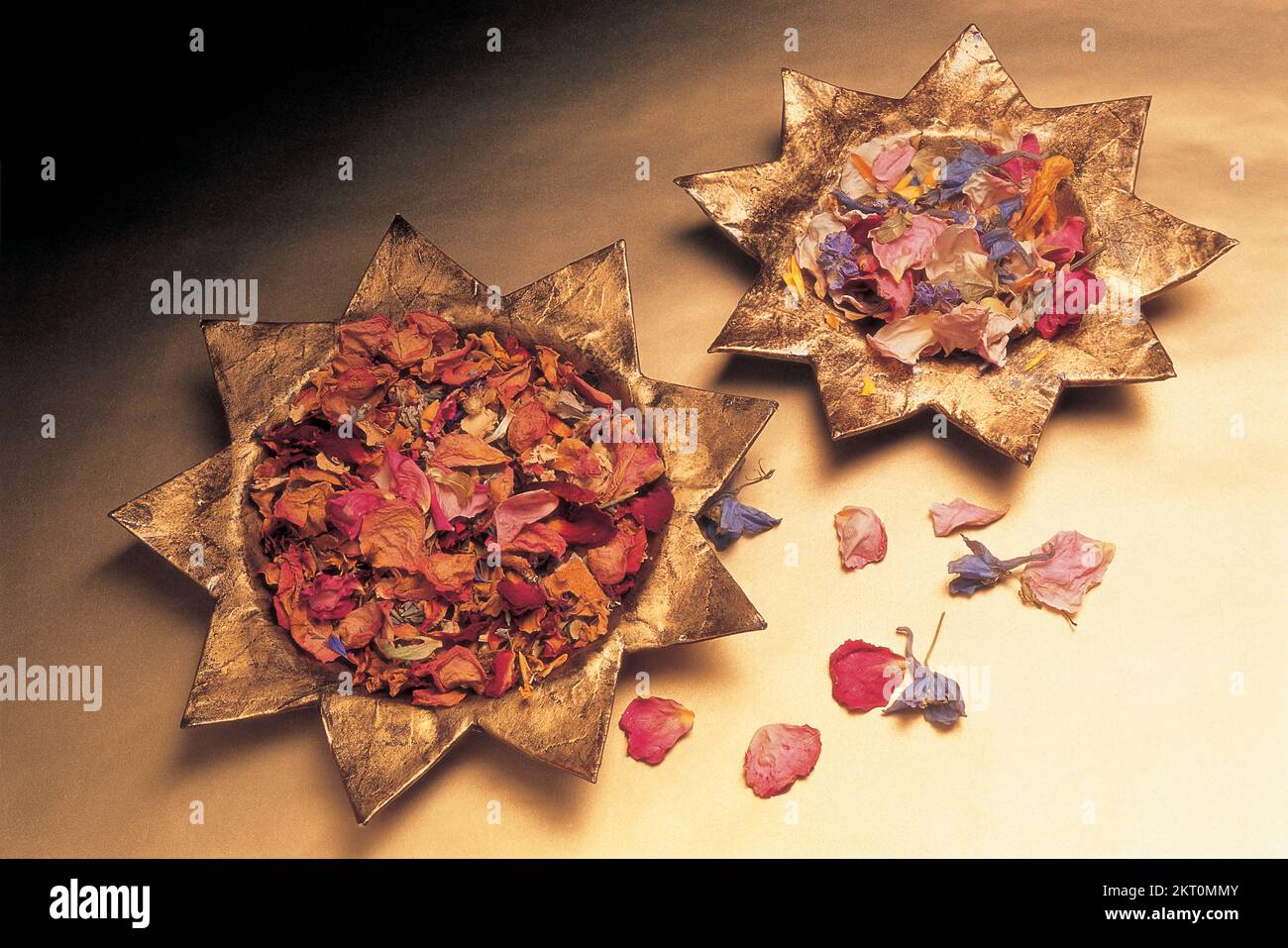 Star marigold hi-res stock photography and images - Alamy