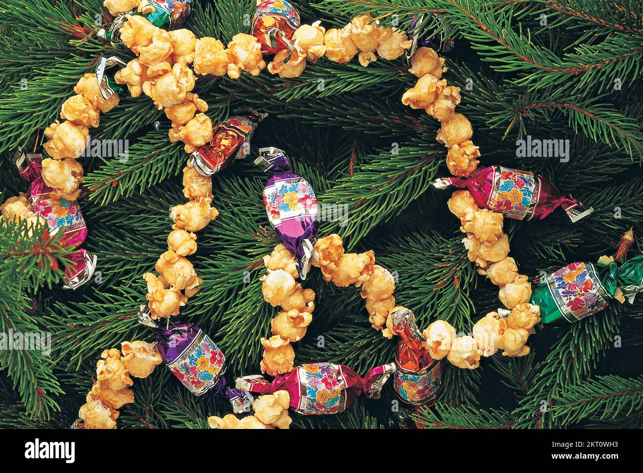 Garland of candies and popcorn on tree Stock Photo - Alamy