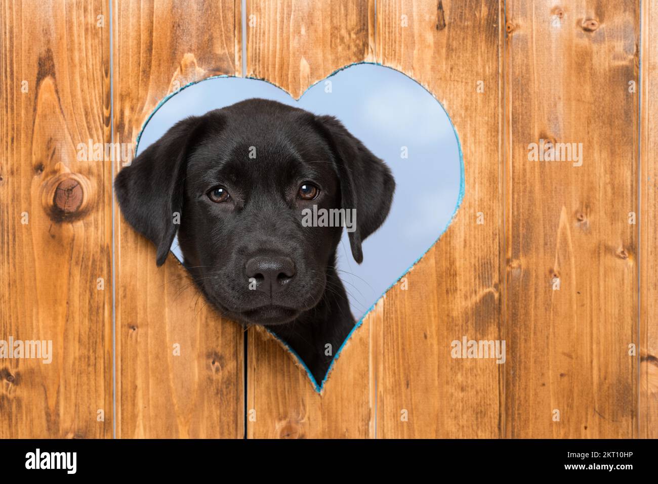 Black hole looks hi-res stock photography and images - Alamy
