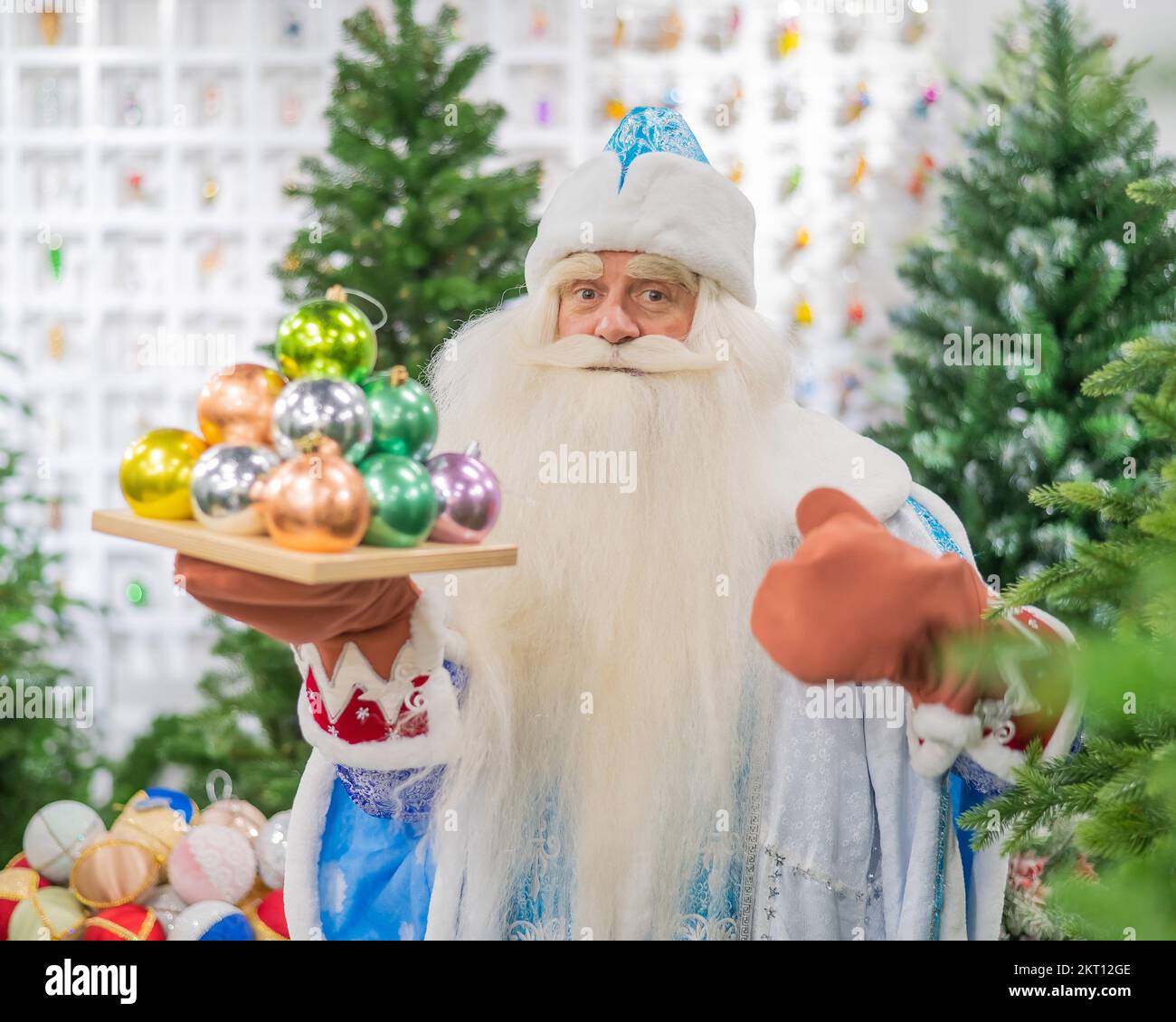 Russian santa claus holds decorations for the christmas tree in the ...