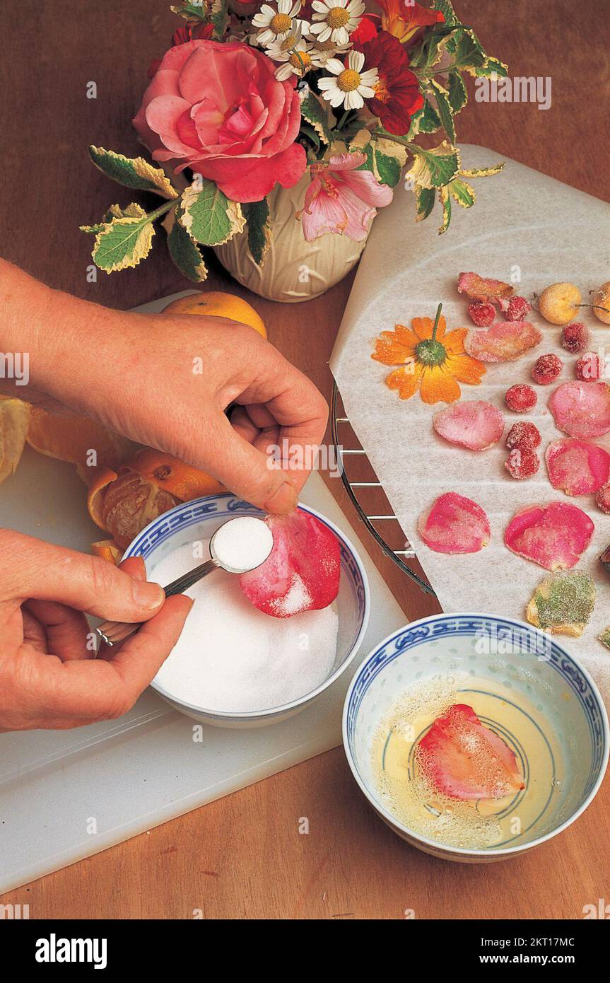 Rose petal dusted with caster sugar Stock Photo - Alamy