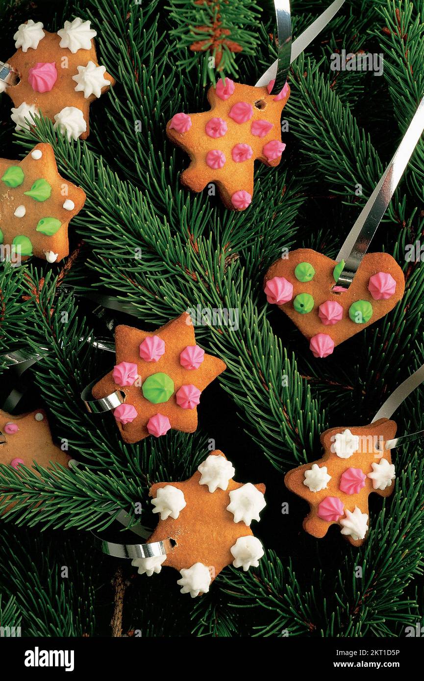 Gingerbread Stars and Trees on Christmas on tree Stock Photo - Alamy