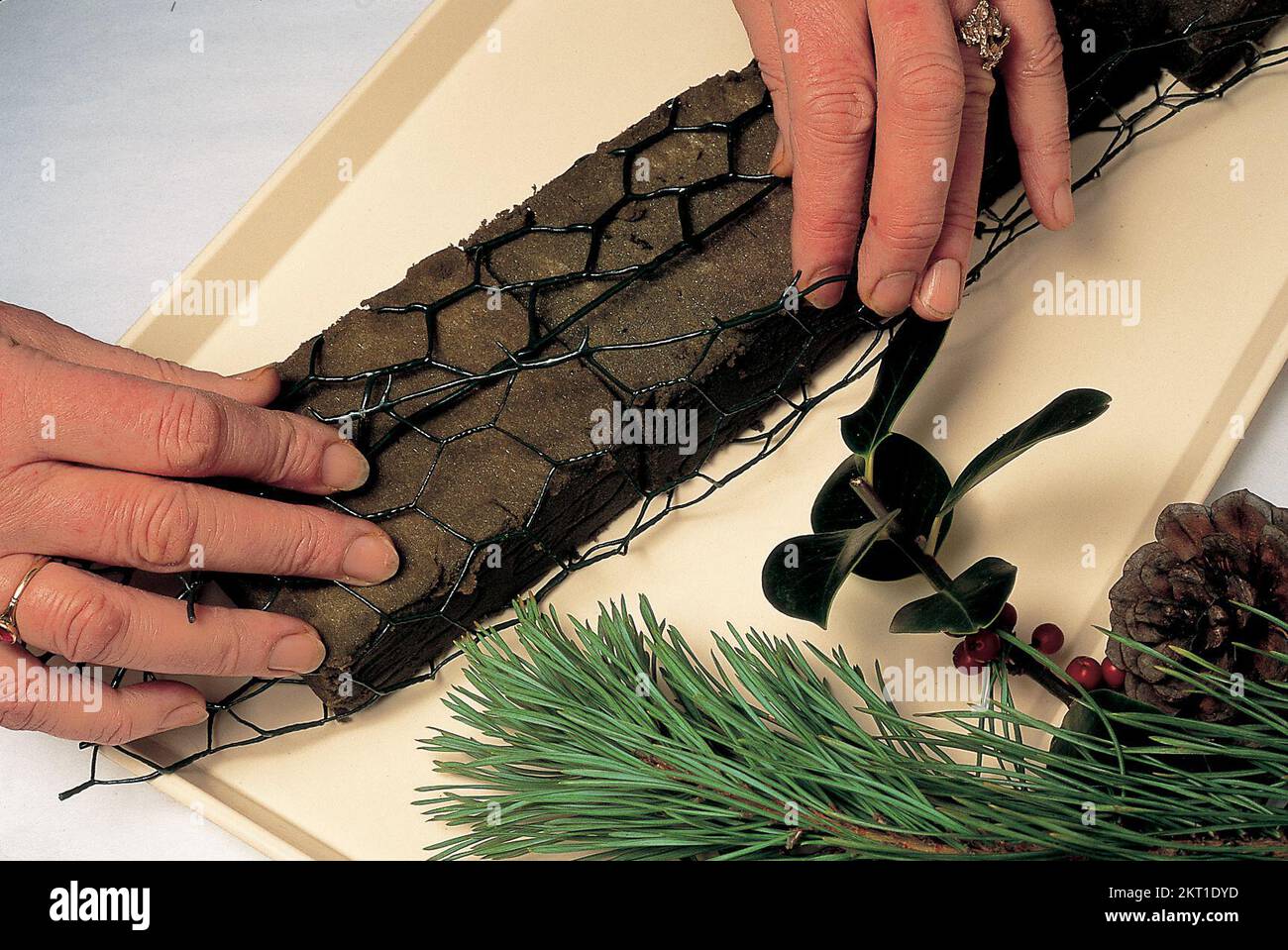 Mesh netting hi-res stock photography and images - Alamy