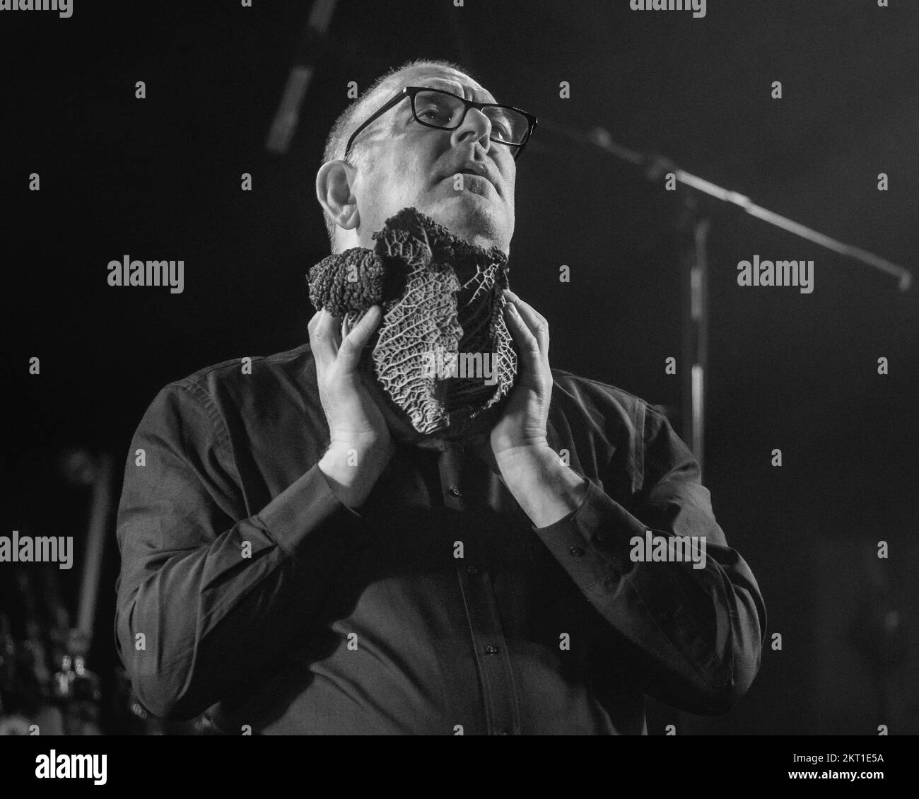 Cabbage king hi-res stock photography and images - Alamy