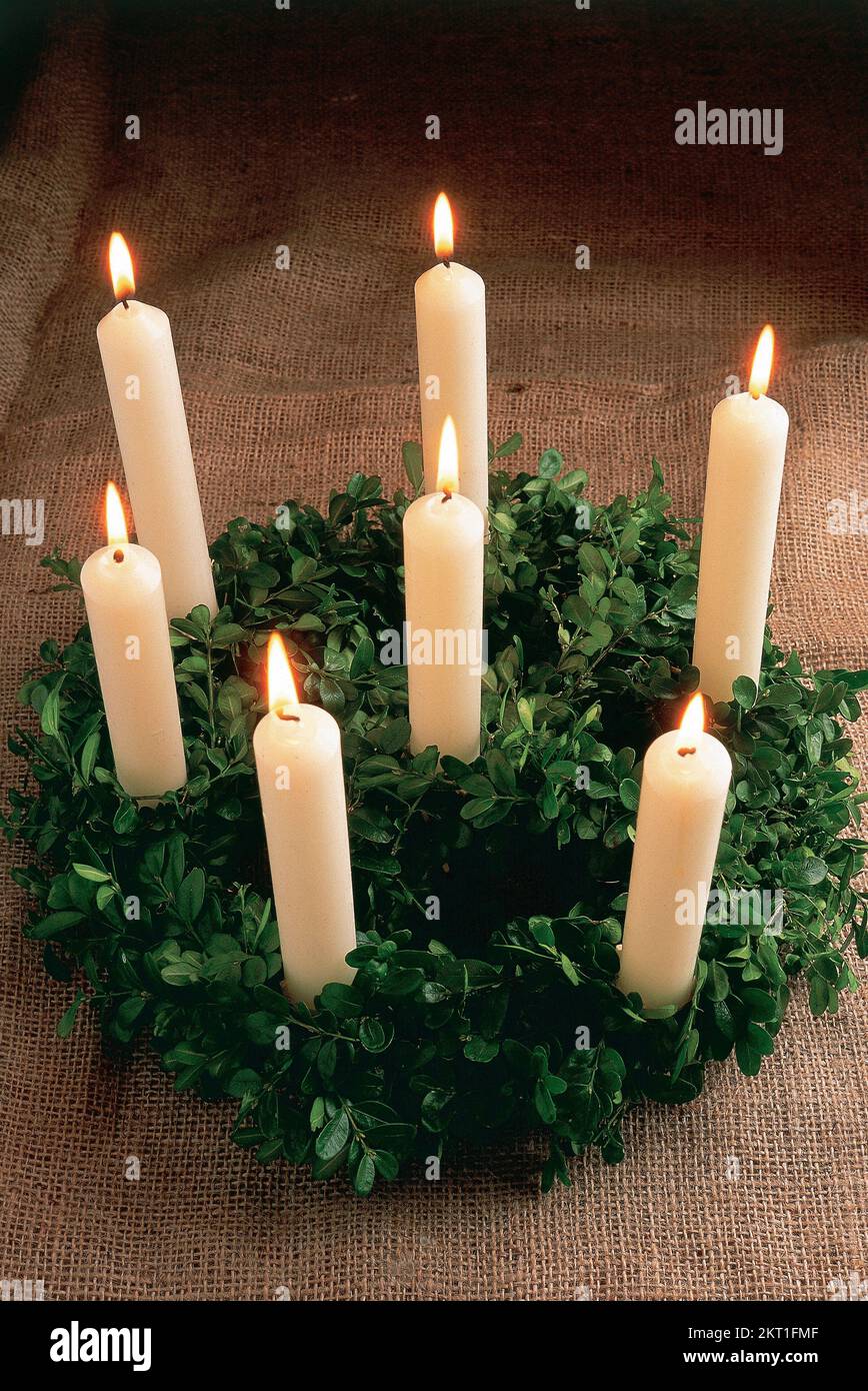 St Lucia crown with seven candles Stock Photo - Alamy