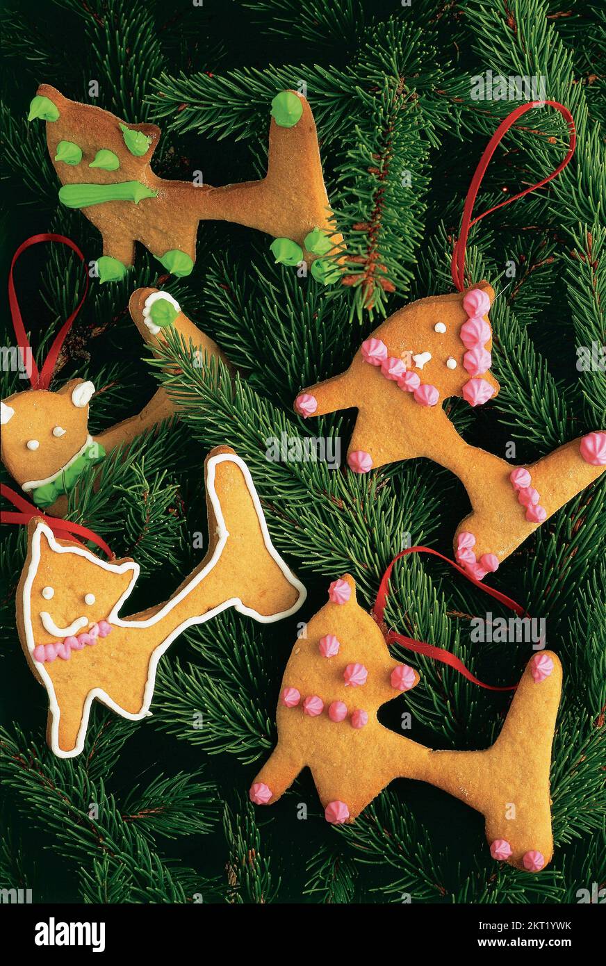 Tree shaped cat tree hi-res stock photography and images - Alamy