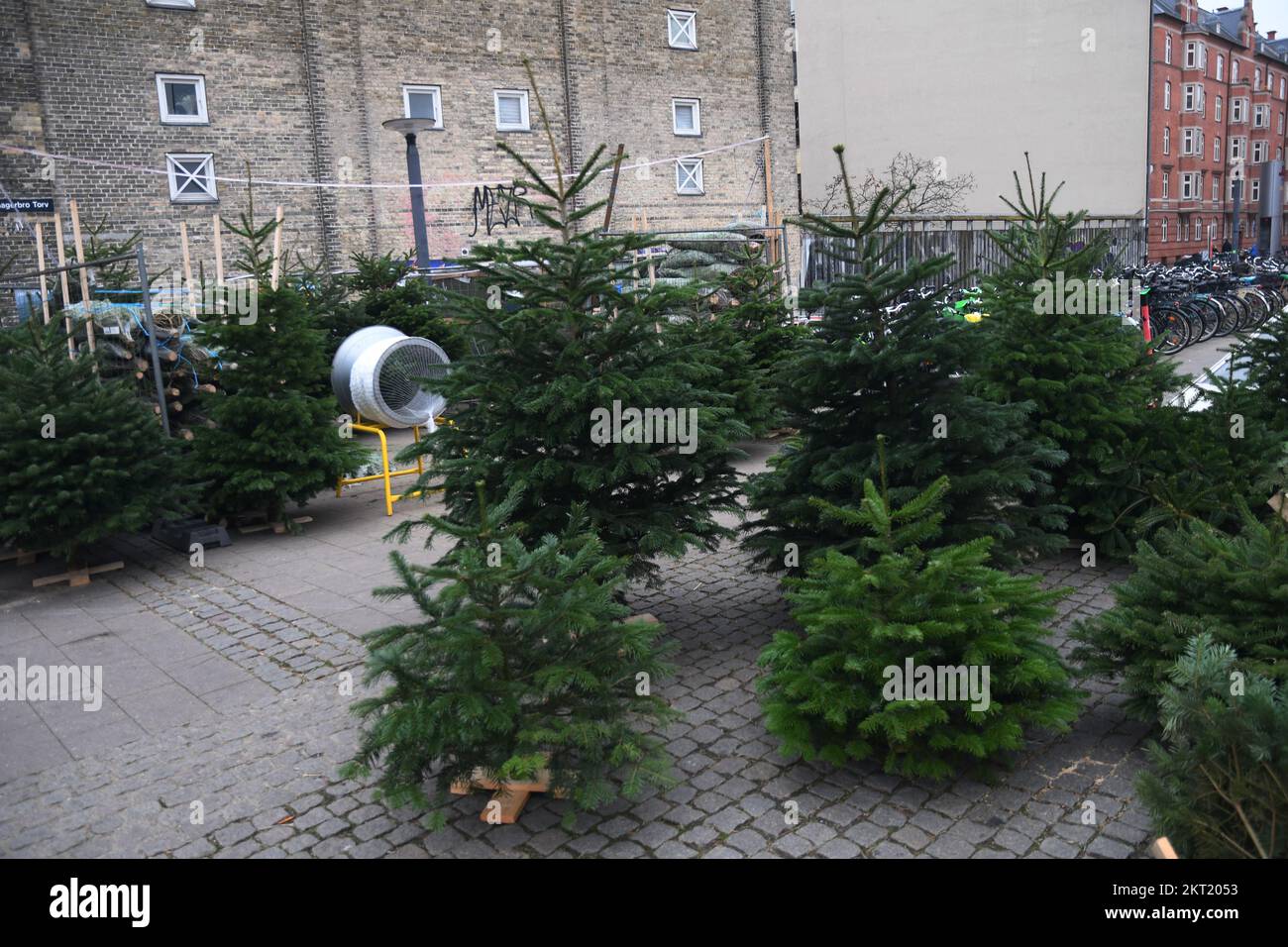 Copenhagen/Denmark/29 November 2022/People christmas shoppeers coupple ...