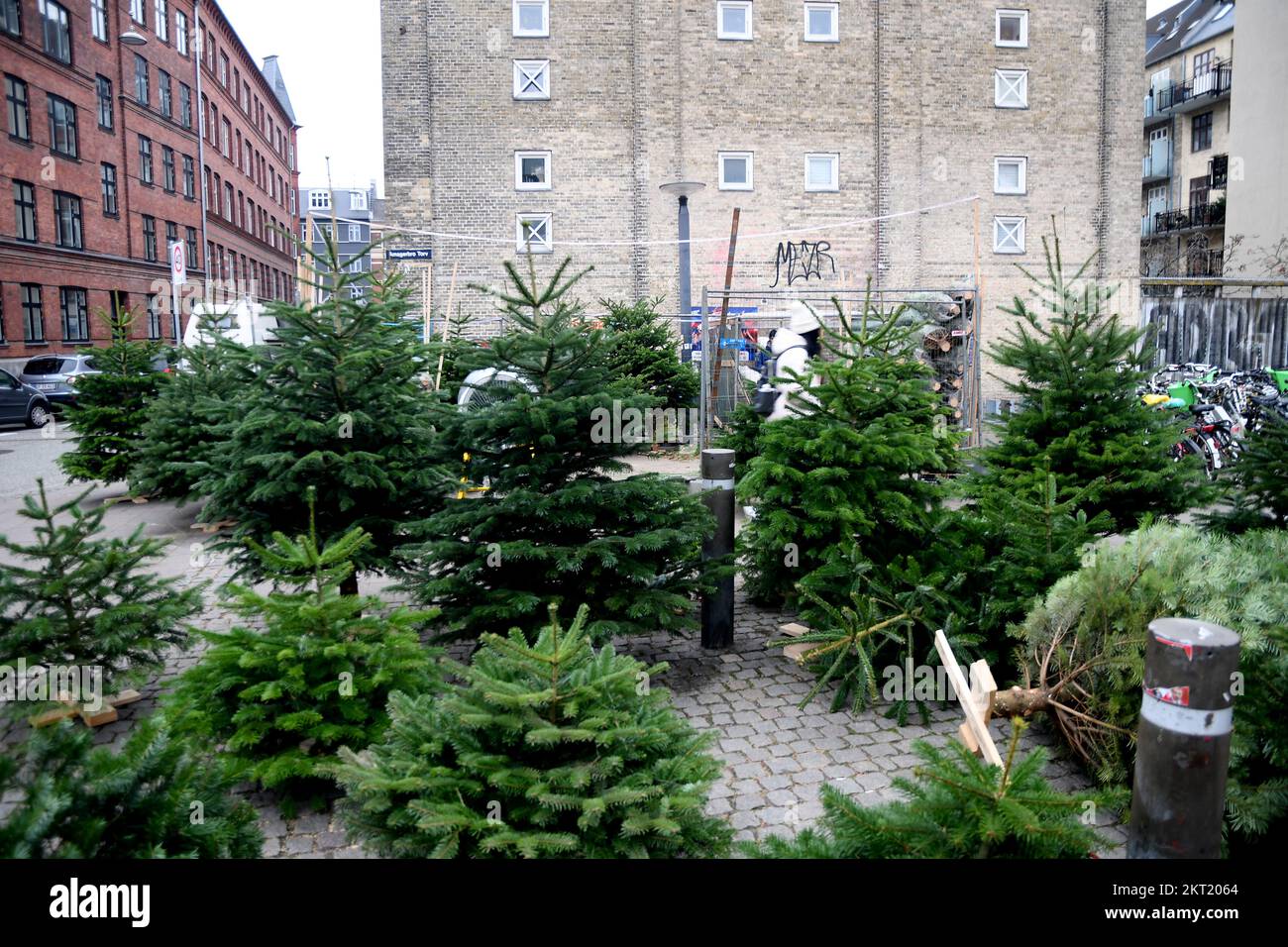 Copenhagen/Denmark/29 November 2022/People christmas shoppeers coupple ...