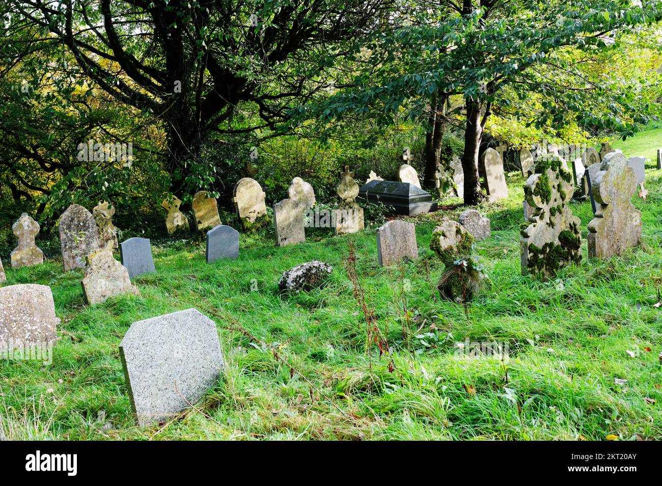 Netherbury dorset church hi-res stock photography and images - Alamy