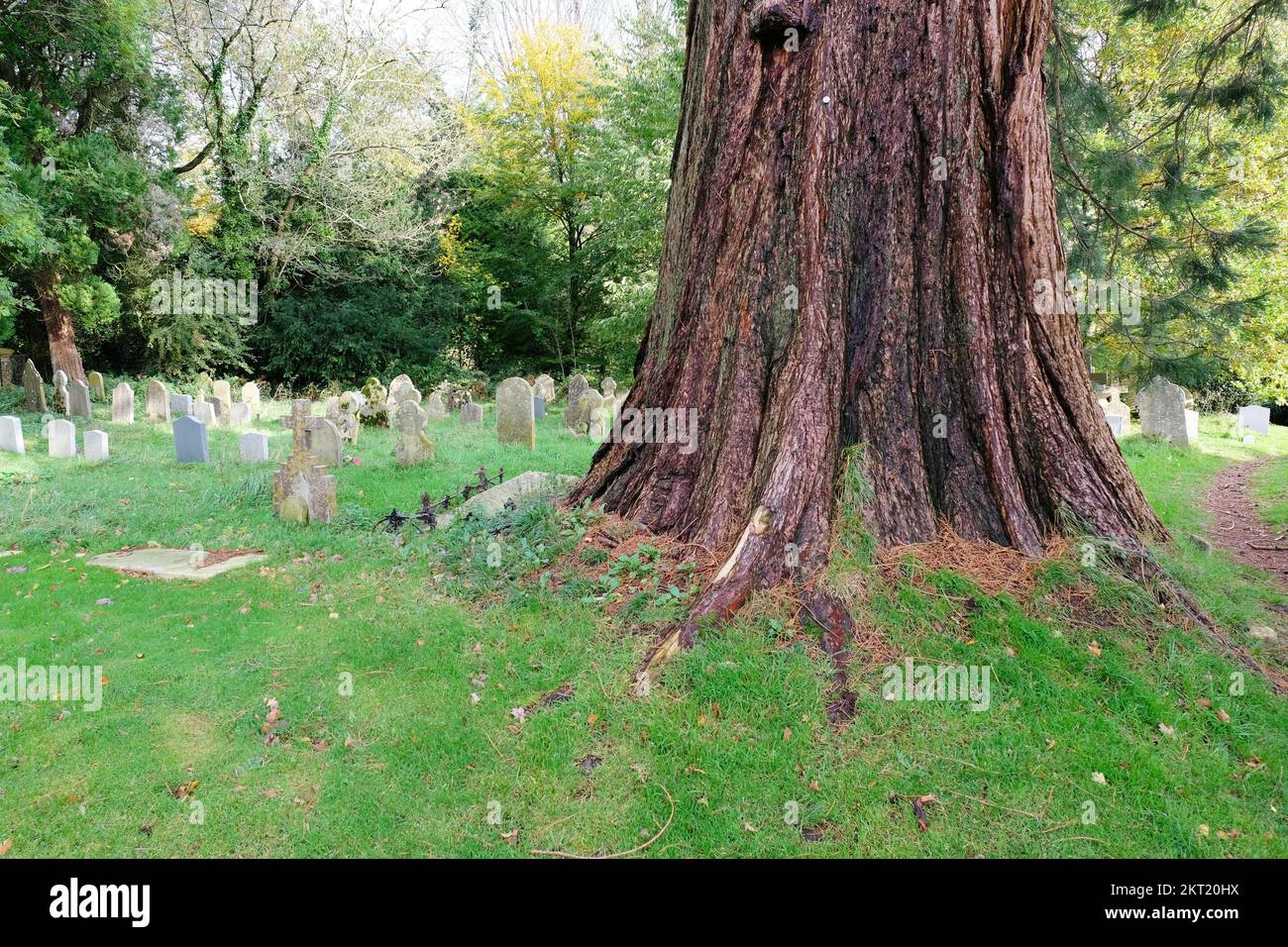 The churchyard at Netherbury parish church, Dorset, UK - John Gollop ...