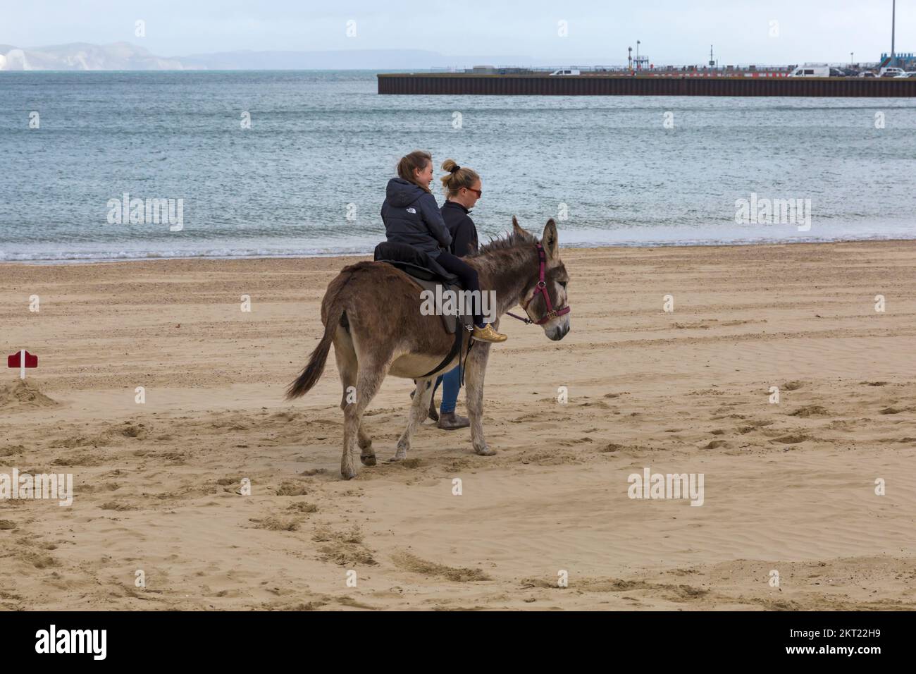 Donkey rides sea side weymouth beach hi-res stock photography and ...