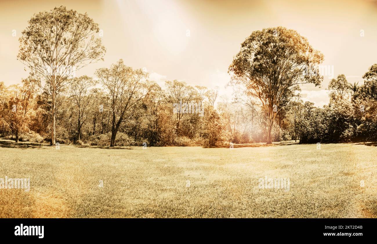 Hi resolution backgrounds hi-res stock photography and images - Alamy