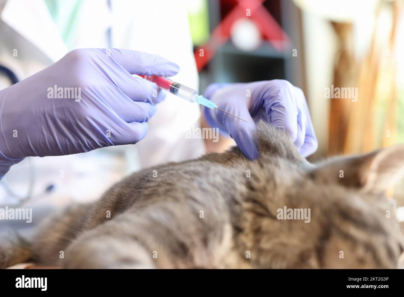 Sleep specialist hi-res stock photography and images - Alamy