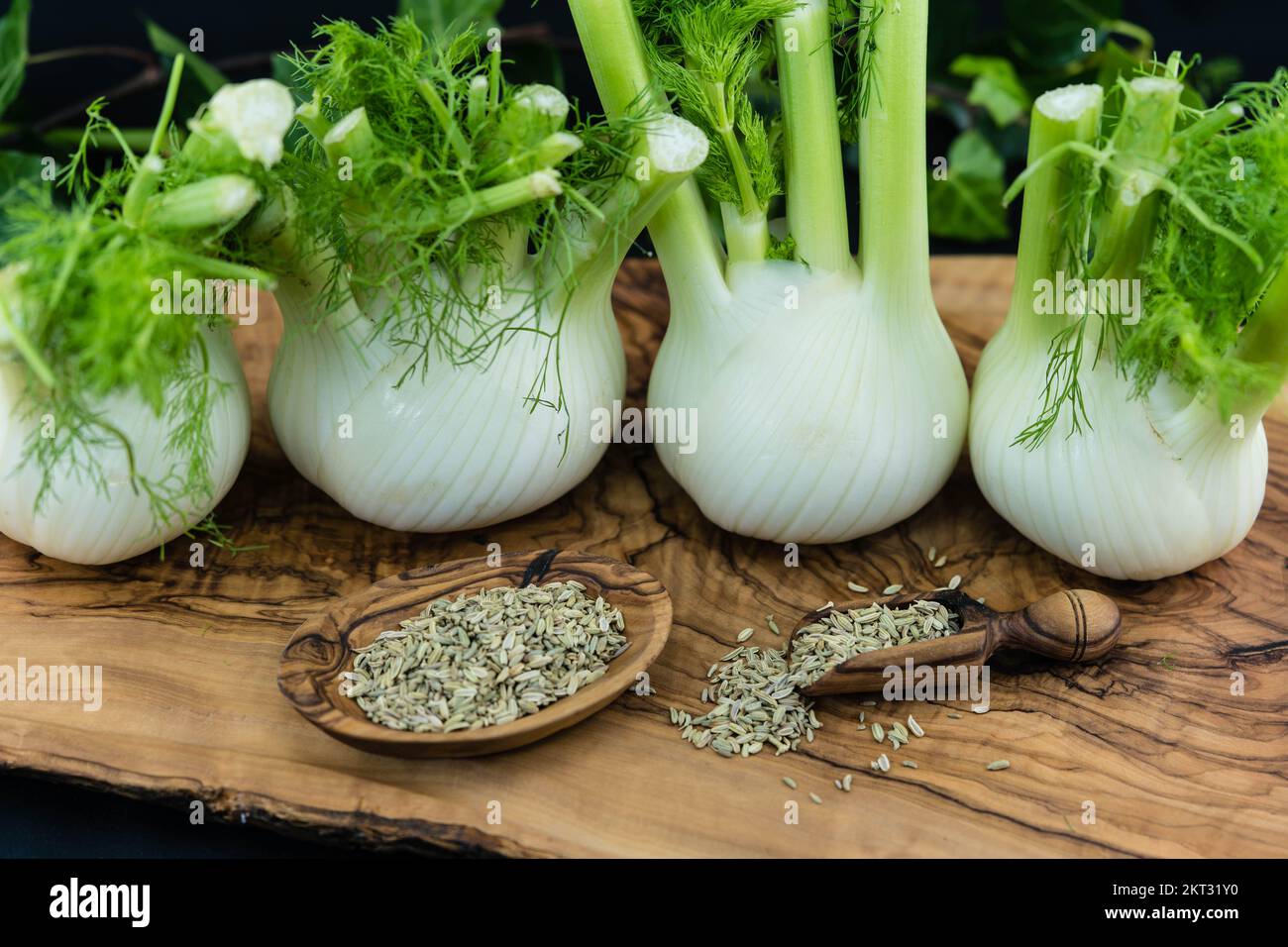 green and white fennel bulbs on olive wood Stock Photo - Alamy
