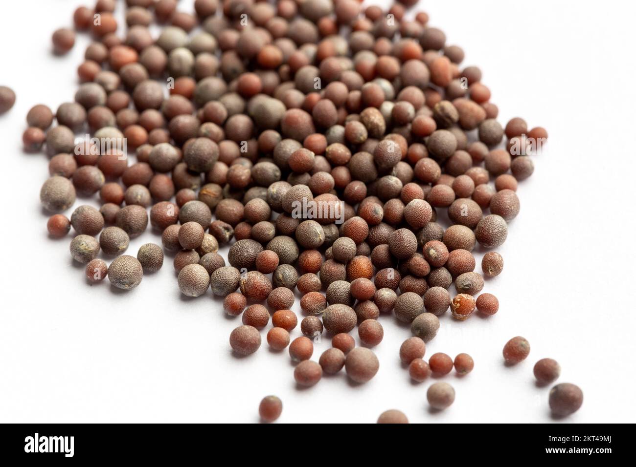 Black mustard hi-res stock photography and images - Alamy