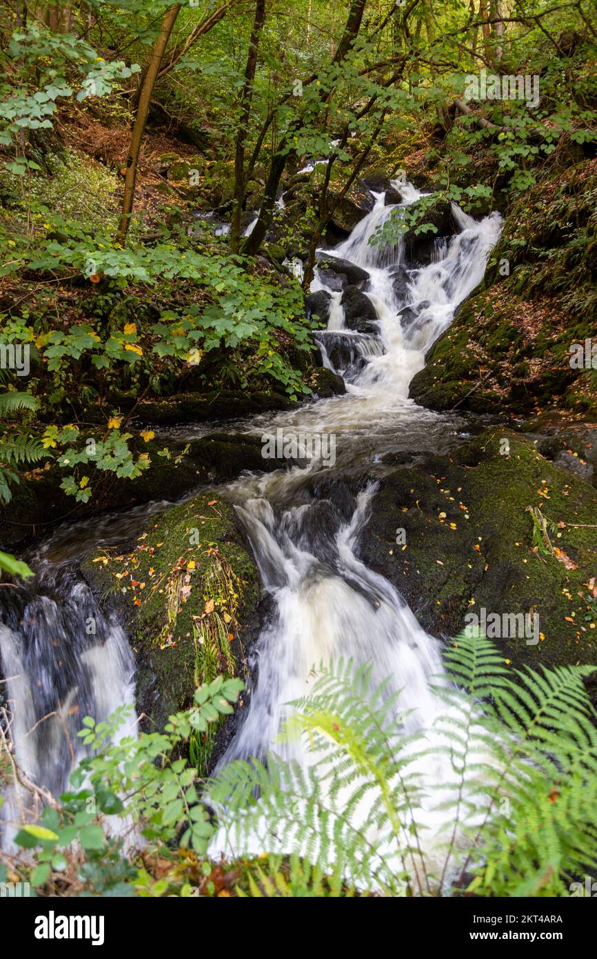 Arthog village hi-res stock photography and images - Alamy