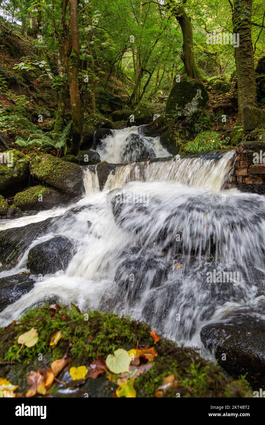 Waterfalls on the walk from the village of Arthog to Cregennan Lakes ...