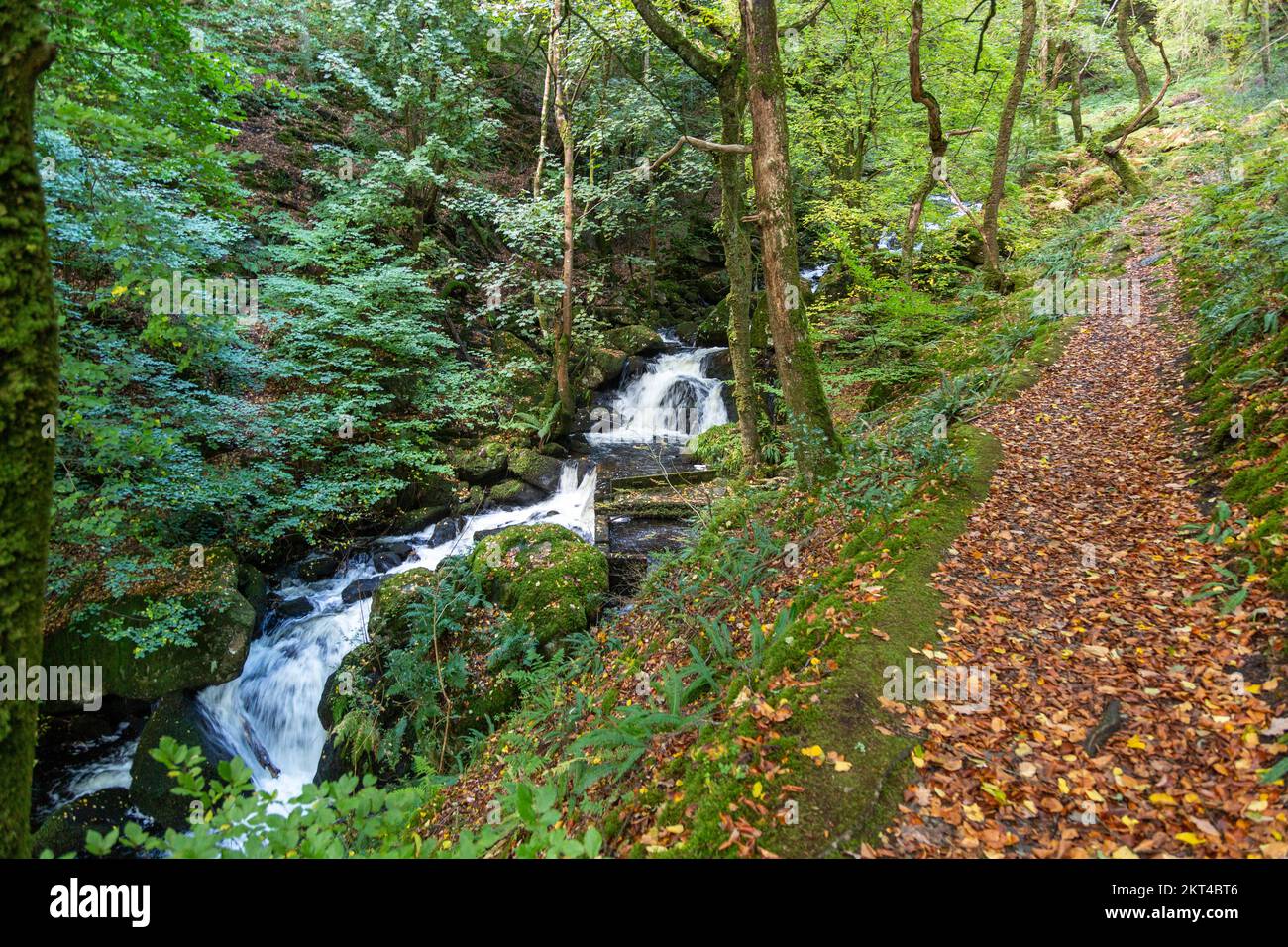 Waterfalls on the walk from the village of Arthog to Cregennan Lakes ...