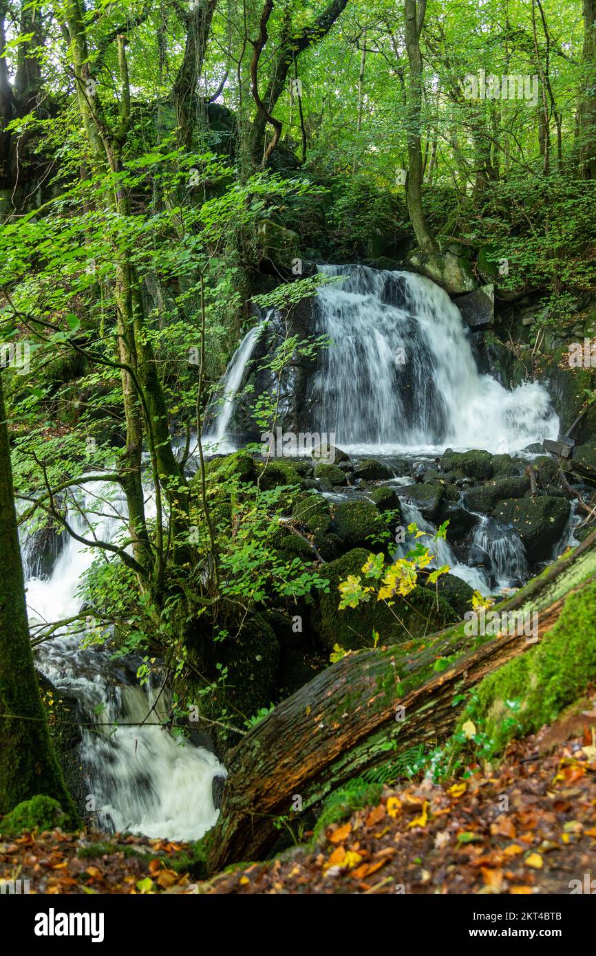 Waterfalls on the walk from the village of Arthog to Cregennan Lakes ...