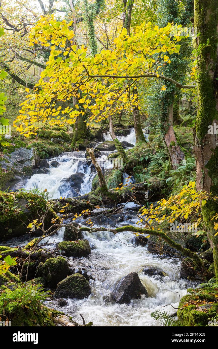 Waterfalls on the walk from the village of Arthog to Cregennan Lakes ...