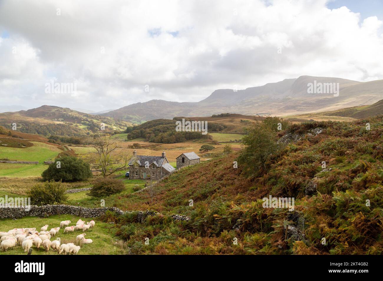 Tyn y llidiart hi-res stock photography and images - Alamy