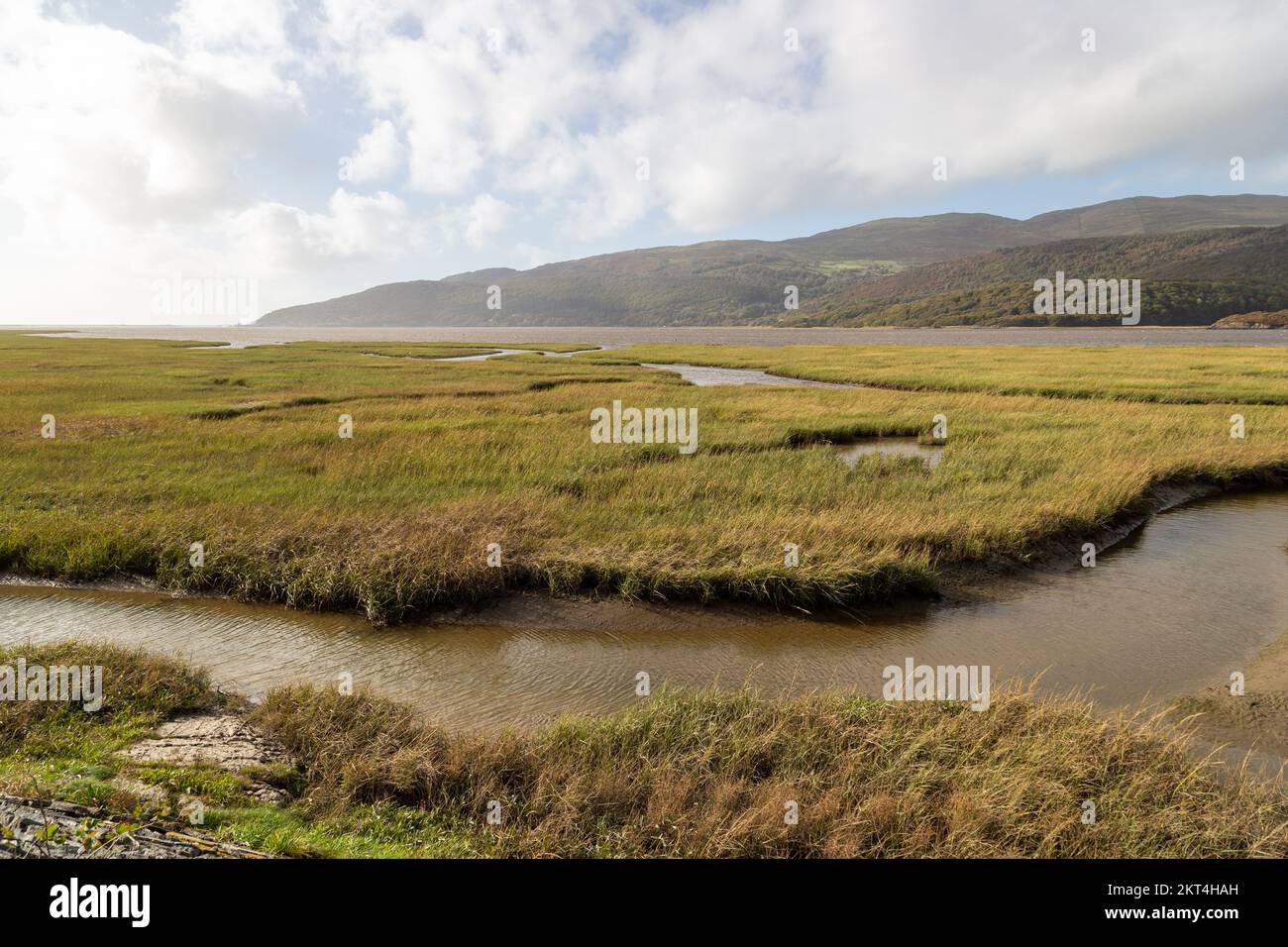 Welsh marshes hi-res stock photography and images - Alamy