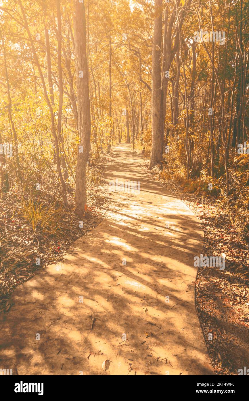 Retro style photograph on a scenic walking path of rural decadence ...