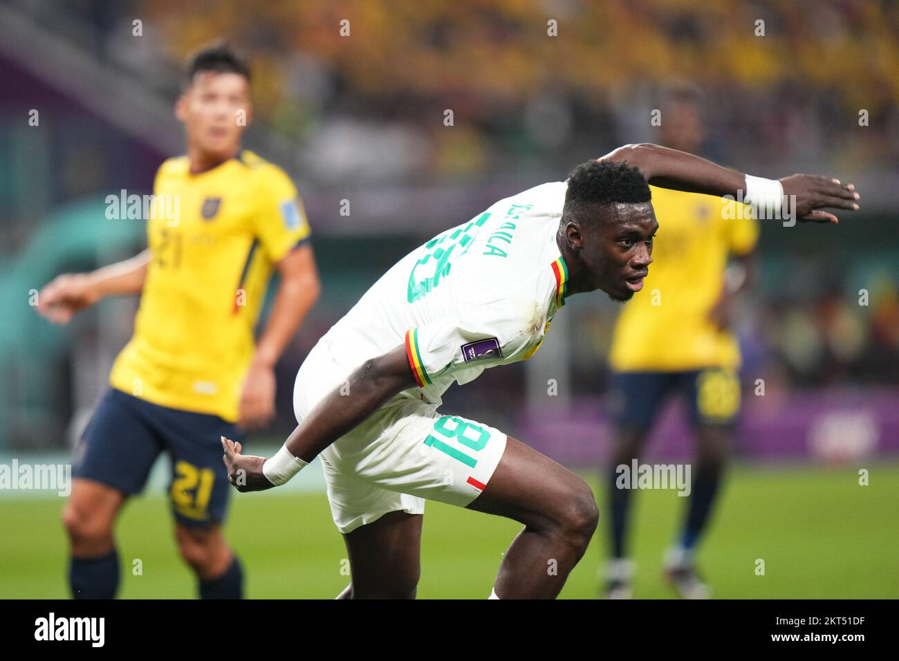 Sarr of Senegal during the FIFA World Cup Qatar 2022 match, Group A ...