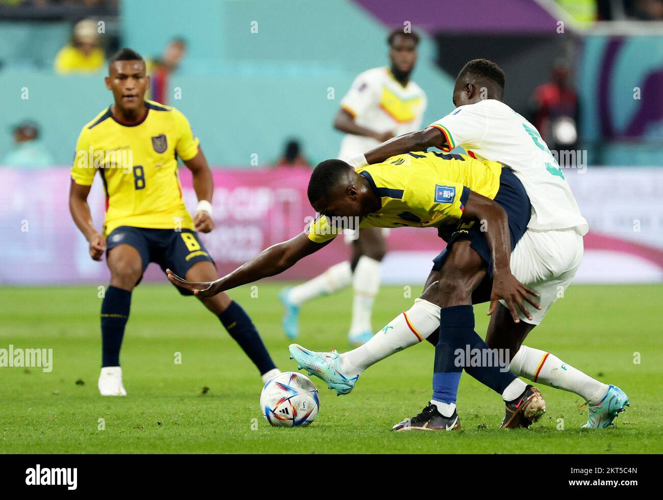 Moises caicedo ecuador hi-res stock photography and images - Alamy