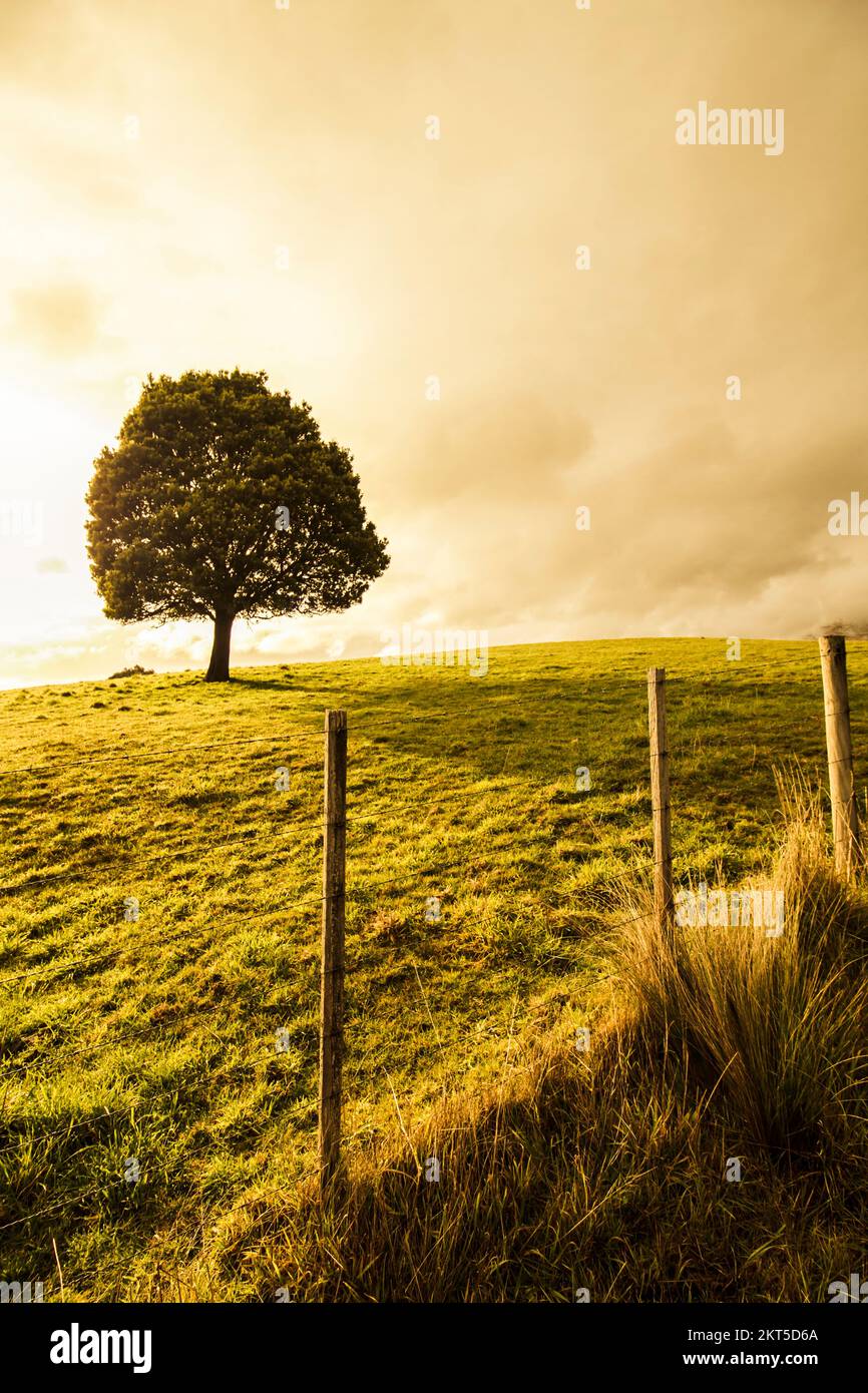 Ridgley hi-res stock photography and images - Alamy