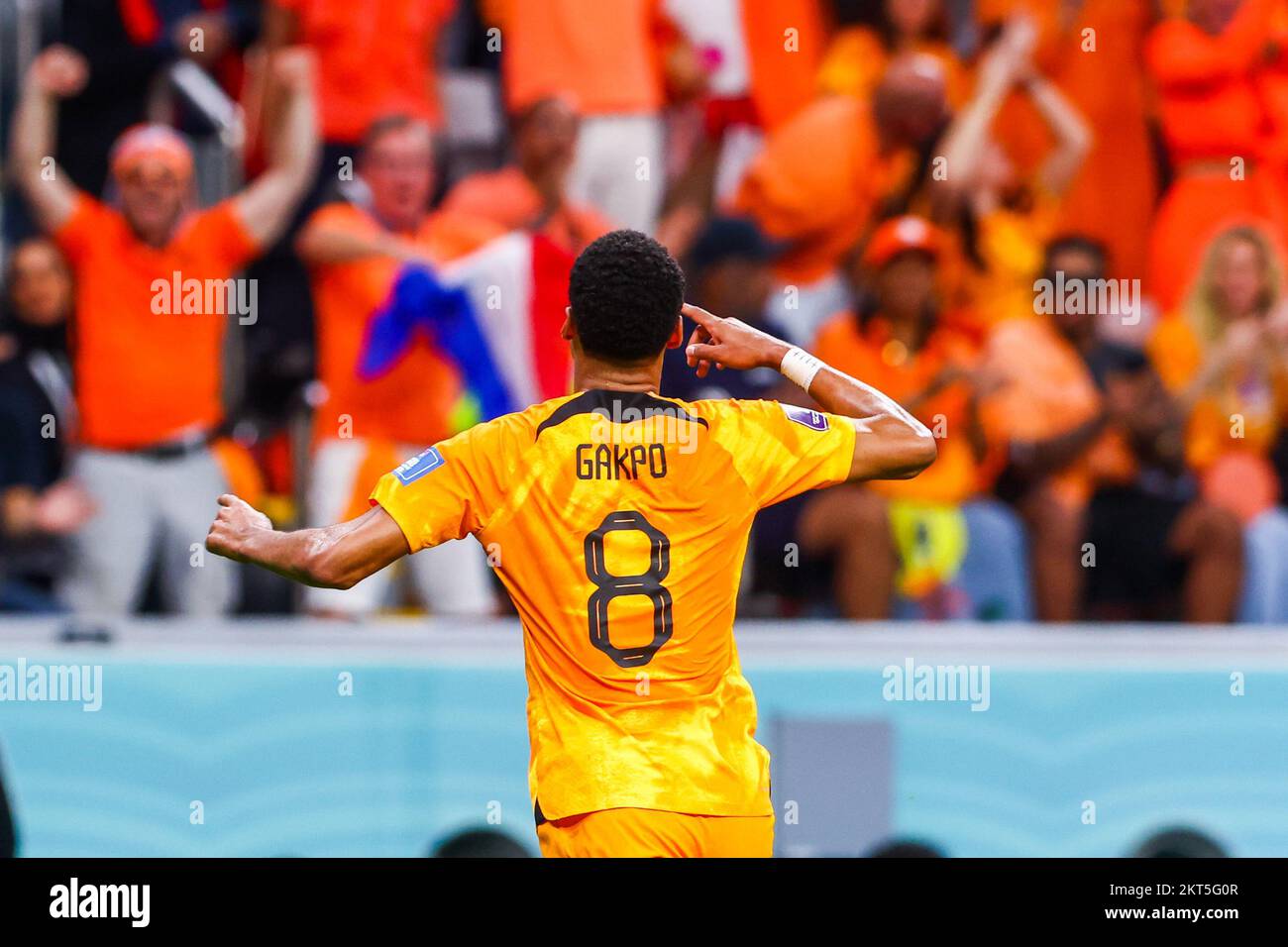 Doha, football, FIFA World Cup 2022, Netherlands. 29th Nov, 2022. v ...