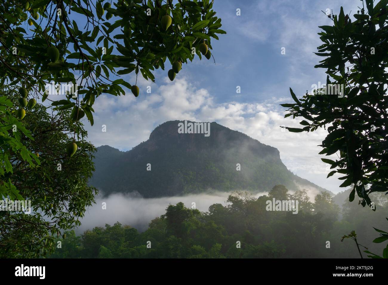 Scenic morning tropical landscape view with mountain and low clouds ...