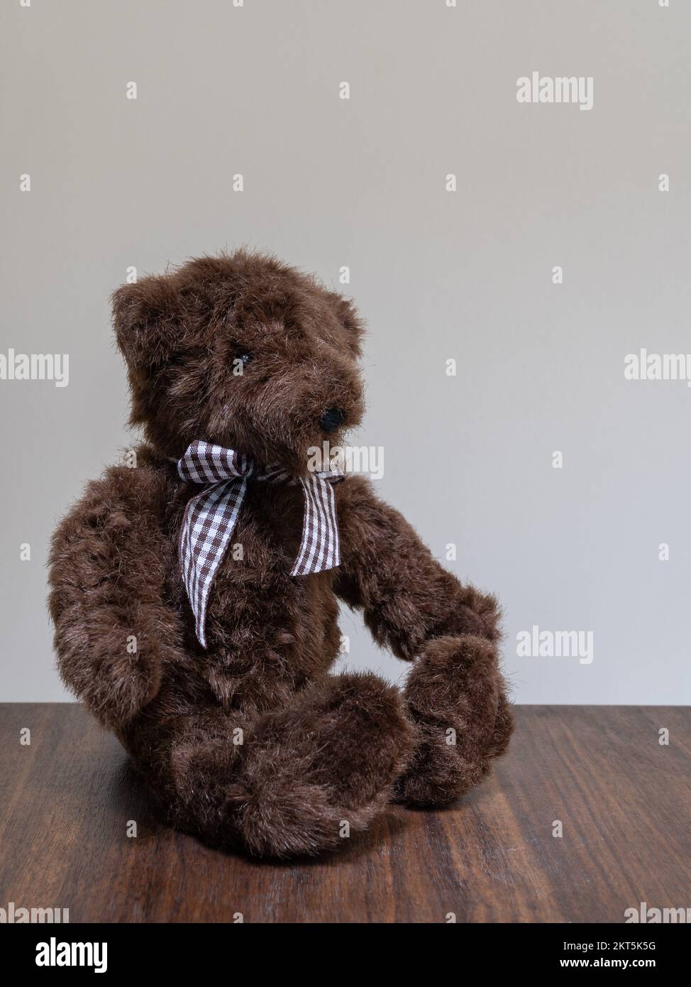 Closeup of cute dark brown sitting teddy bear with checkered ribbon ...