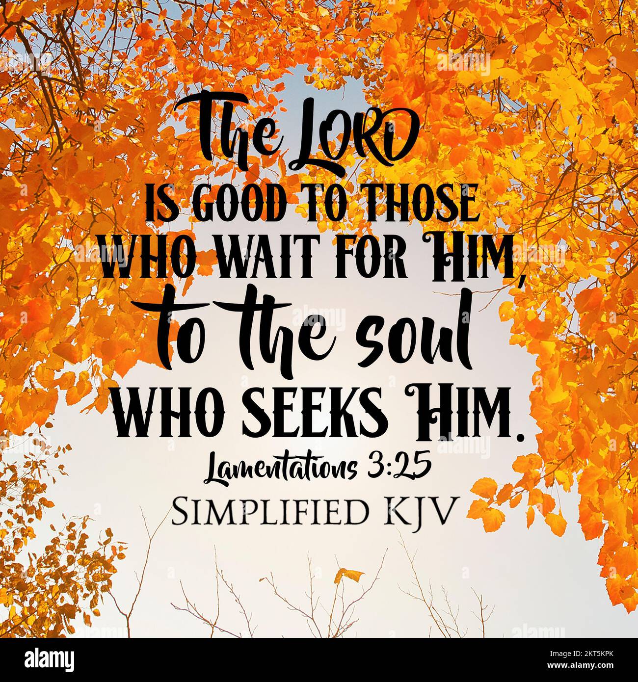 The Lord is good to those who wait for Him, to the soul who seeks Him ...