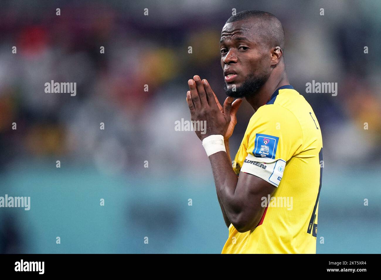 Enner Valencia of Ecuador during the FIFA World Cup Qatar 2022 match ...