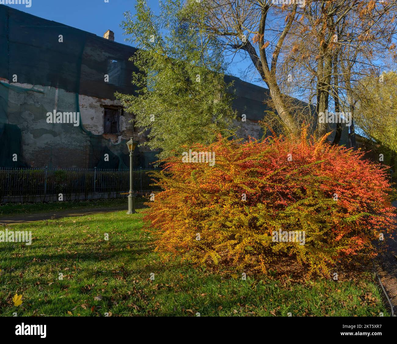 Walk through the Polish Garden at the Derzhavin estate on the ...