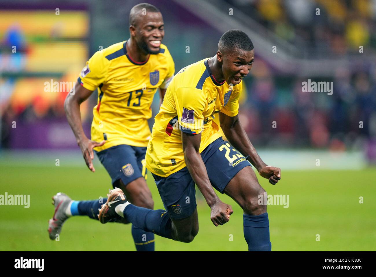 Moises Caicedo of Ecuador celebrates his goal during the FIFA World Cup ...