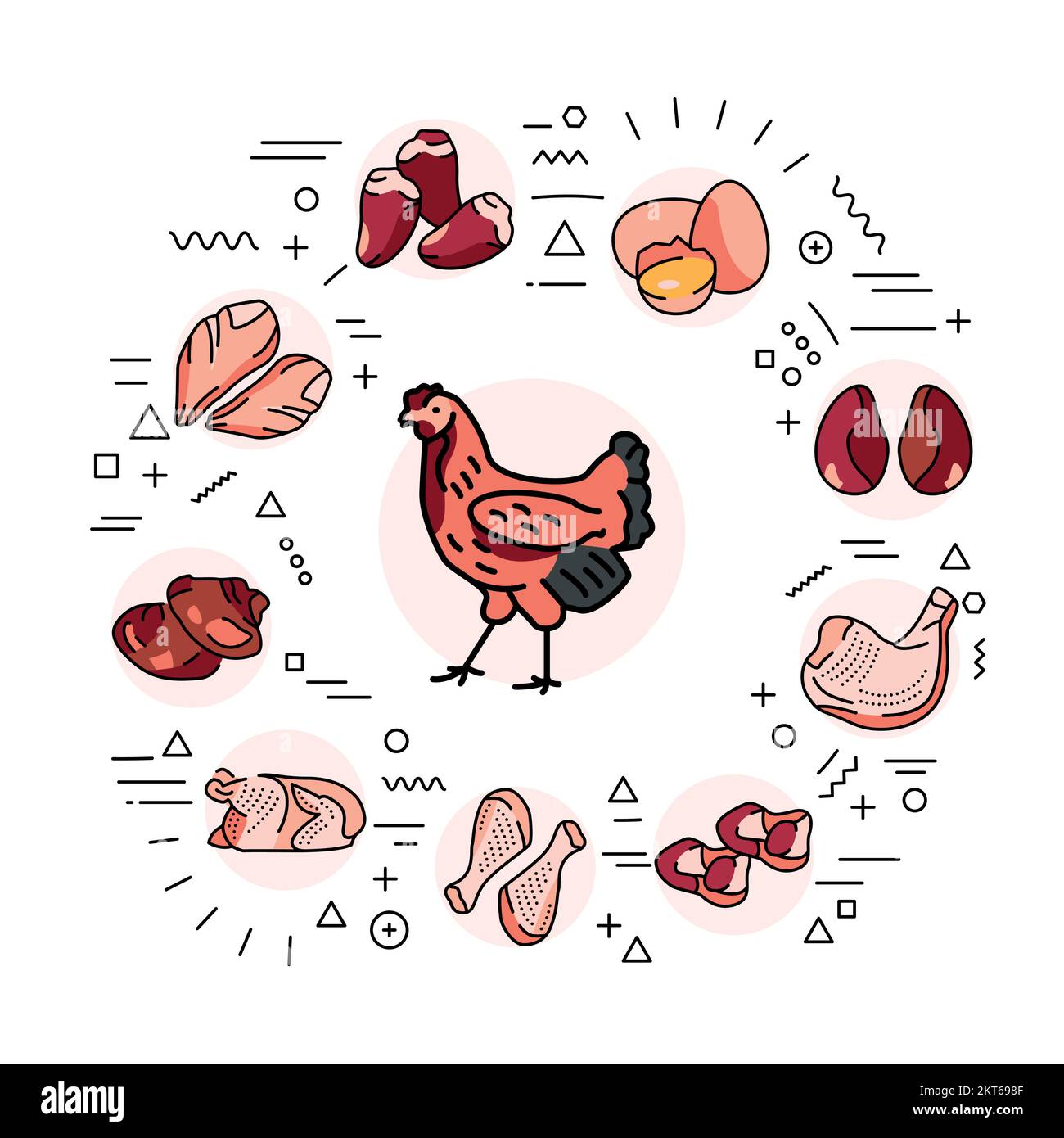Poultry meat web banner. Infographics with linear icons on white ...