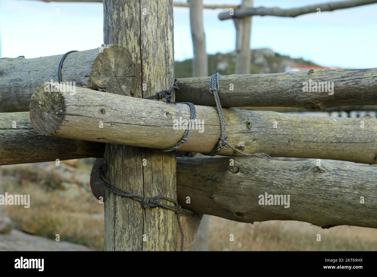 Drying fish northwest hi-res stock photography and images - Alamy