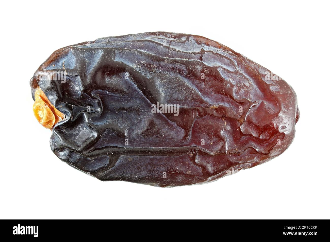 Phoenix dactylifera, Date palm, Dried date, Echte Dattelpalme, Datteln ...