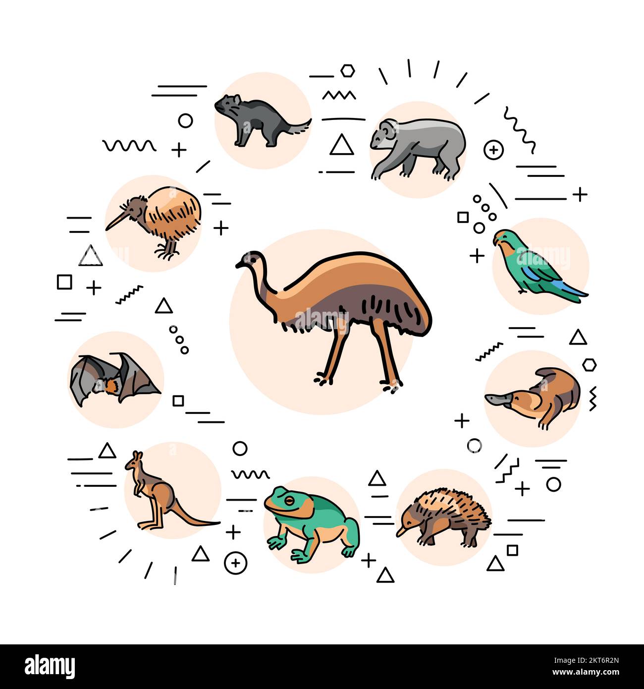 Australian animals web banner. Infographics with linear icons on white ...