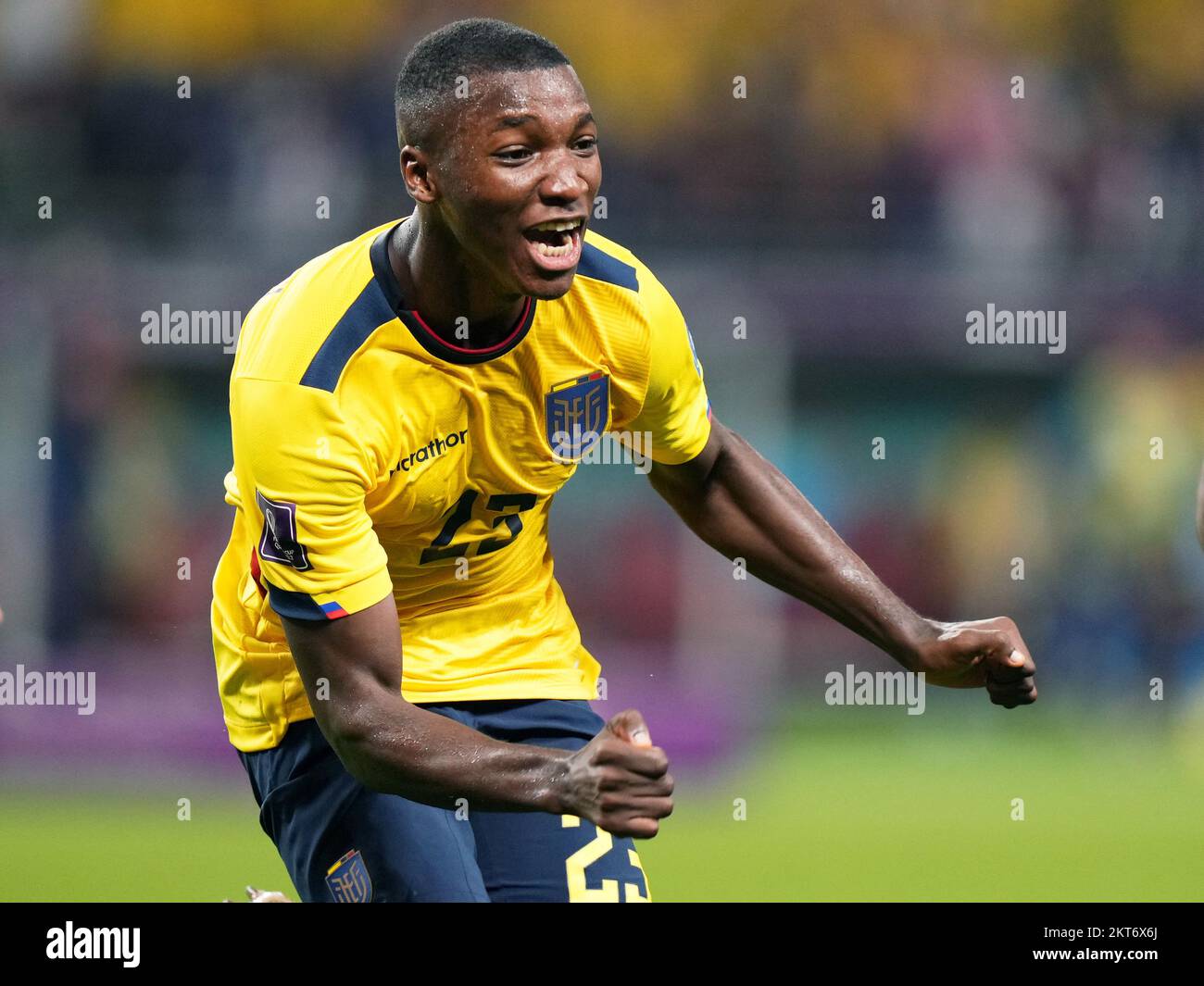 Moises Caicedo of Ecuador celebrates his goal during the FIFA World Cup ...