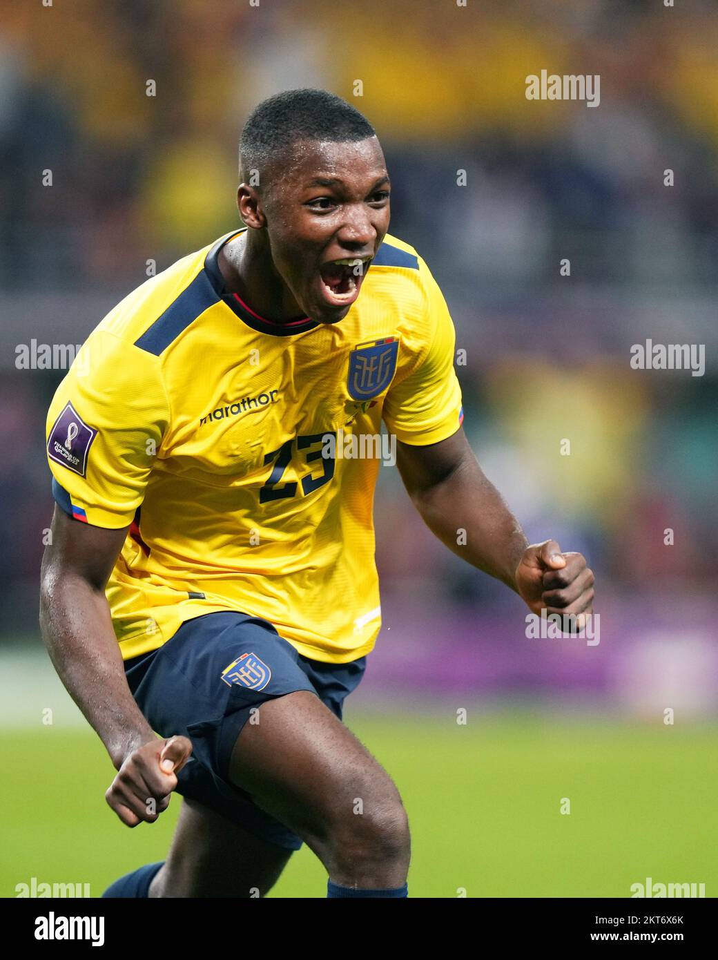 Moises Caicedo of Ecuador celebrates his goal during the FIFA World Cup ...