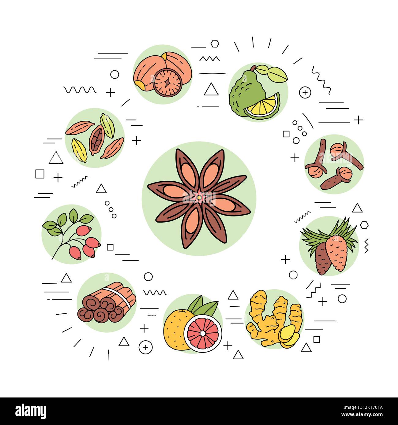 Fruit and seeds web banner. Condiment product. Aromatic spices ...